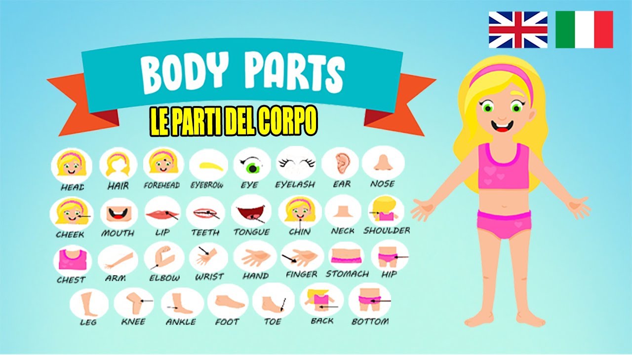 Parti del Corpo in Inglese | Body Parts Vocabulary in English – Rainbow ...