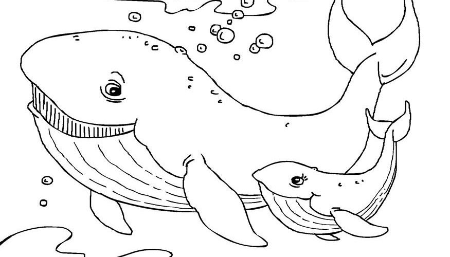 Disegni da colorare e stampare della balena – Rainbow Magic English