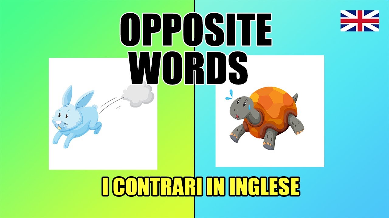 I contrari in inglese | Opposite Words in English – Rainbow Magic English